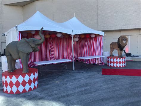 Statue Lion Illusions Rentals