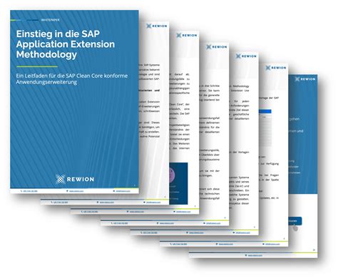 fiori apps anpassen und erweitern sap fiori adaptation projects rewion it beratung and services