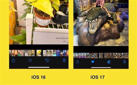 in ios 17 visual look up displays custom icons for identified subjects