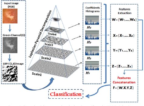Figure 1 From A Fully Automated Ulcer Detection System For Wireless