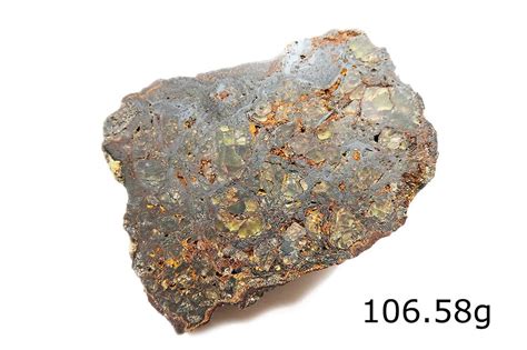 Pallasites Meteorite Museum