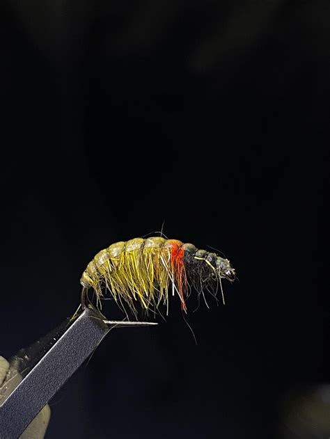 The Czech Nymph Killer Fly For Grayling Rflytying