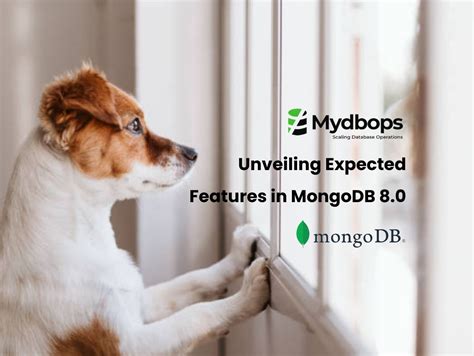 How Mongodb 80 Boosts Performance Mydbops Posted On The Topic Linkedin