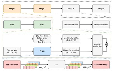 Efficientvmamba实战：使用efficientvmamba实现图像分类任务（一） 哔哩哔哩