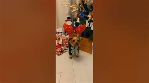 Fillen T 🎁 Youtube