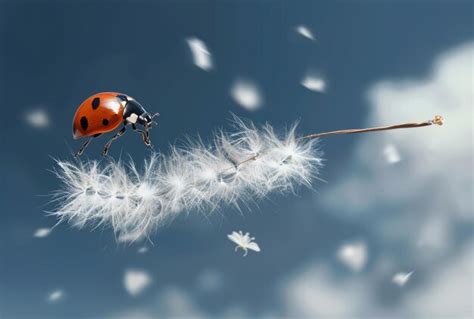 Premium Photo Ladybug And Dandelion In The Wind