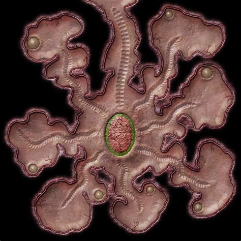 Fantasy City Map Pathfinder Maps