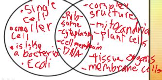 Science Final Flashcards Quizlet