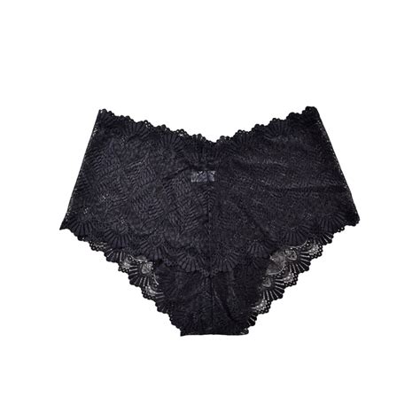 Rosylemon Plus Size Womens Sexy Lace Cheeky Brief Underwear Mid Waist