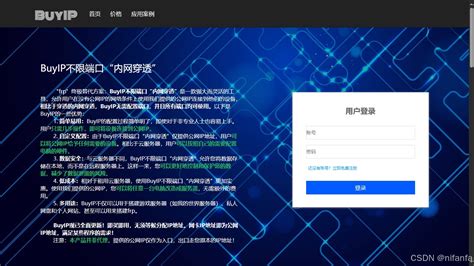 代替内网穿透，一分钟获取公网ip地址 buyip csdn博客