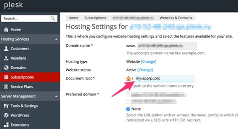 Plesk Node Js Setup