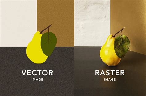 Raster Graphics Whats The Difference Between Vector And Raster Graphics