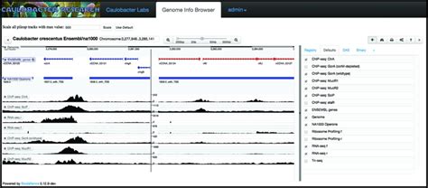 Screenshot Of The Genome Viewer The Figure Shows Our Genomic Viewer Download Scientific