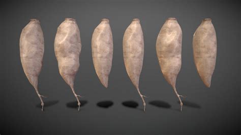 Cassava 3d Model By Cglism C393155 Sketchfab