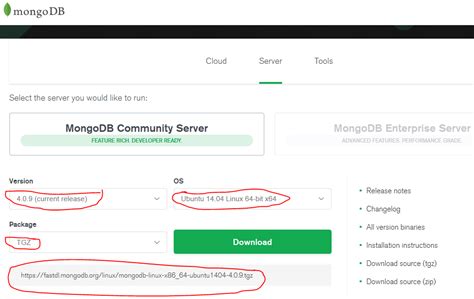 MongoDB mongo express 环境搭建记 i野老i 博客园