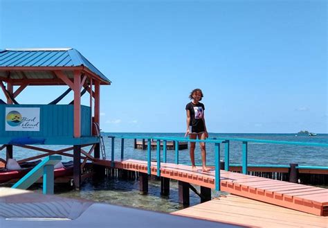 Bird Island Placencia Bird Island Island Getaway Private Island