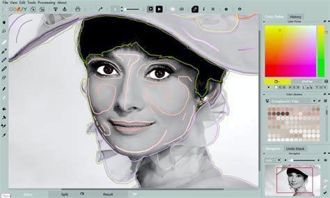Photo Colorization Process Codijy
