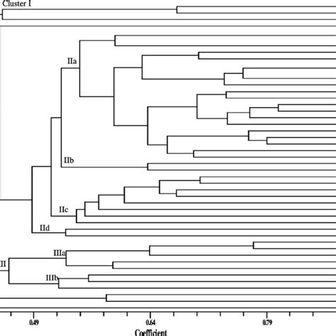 Dendrogram Based On Jaccards Coefficient Using Combined Data R 088