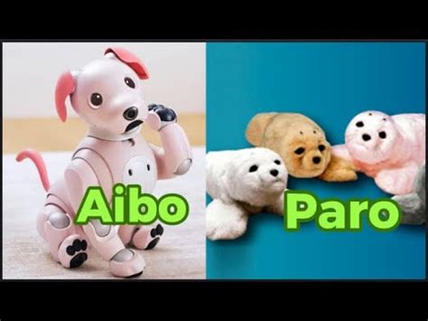 Aibo Vs Paro Robots Who Is The Best Youtube