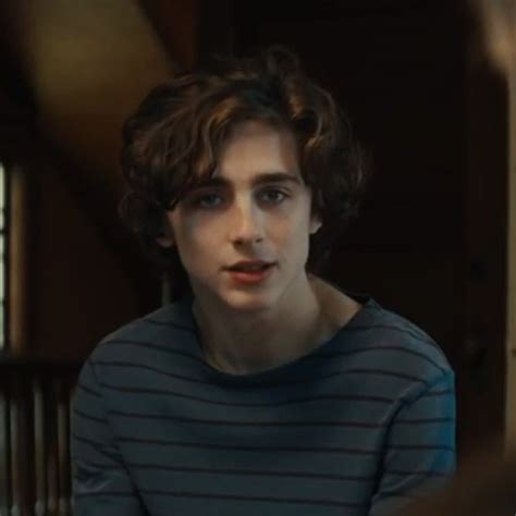 Timothée Chalamet As Nic Sheff Icons Timothee Chalamet Beautiful