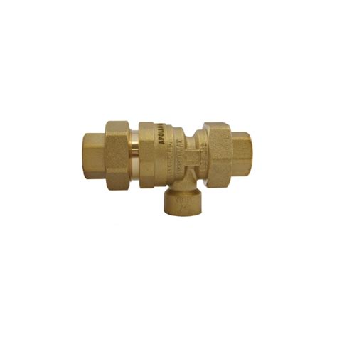 Apollo 4a4a33am 12 Fnpt Dual Check Backflow Preventer