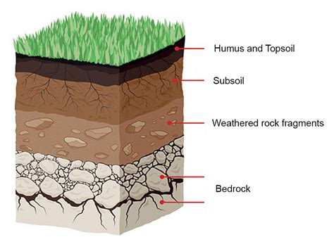 Soil Preparation For Grass
