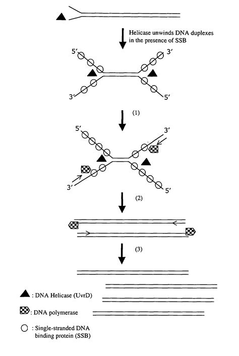 Nucleic Acid Detection Patented Technology Retrieval Search Results Eureka Patsnap