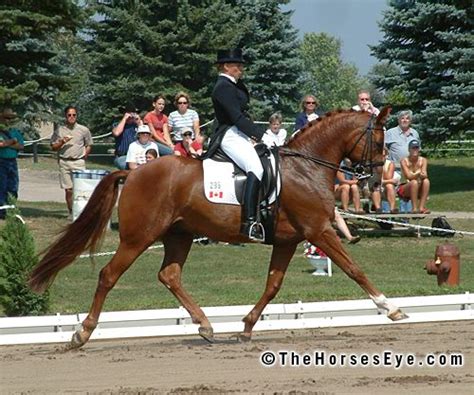 Evi Strasser Remains Undefeated At Cdi Ottawa Fall Dressage Classic