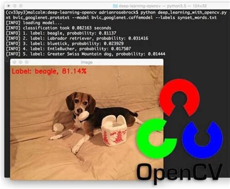 face detection with opencv and deep learning pyimagesearch