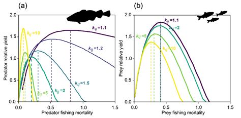 Vulnerability Multipliers Discussion Ecosystem Modelling With Ewe