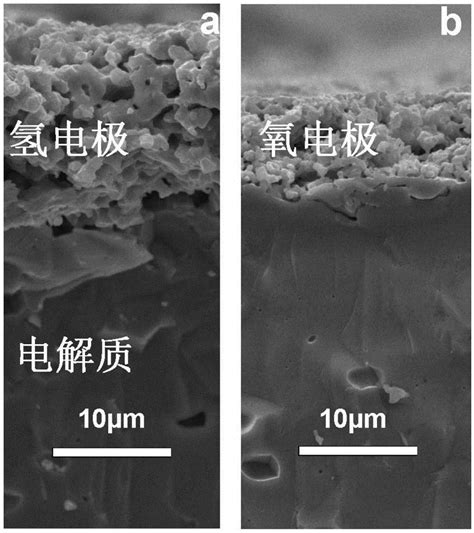 Electrolyte Supported Solid Oxide Electrolytic Cell And Preparation