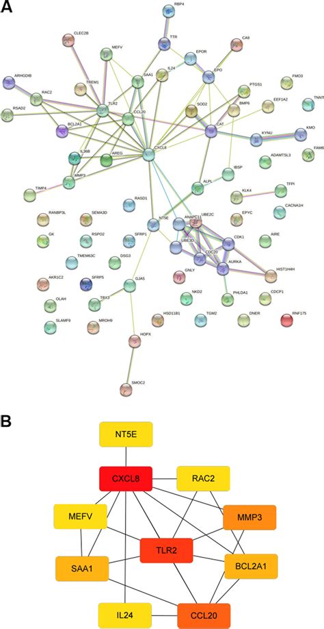 Ppi Network Of Co Degs Between Day 7 And Day 14 A Ppi Network Of 65