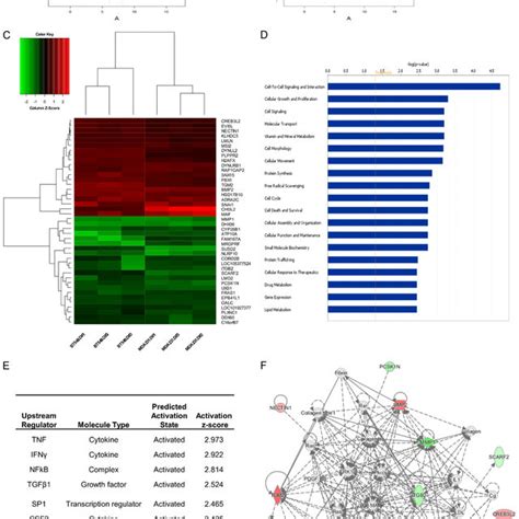 Rnaseq Analysis Identifies Gene Expression Profile