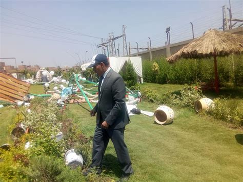 إزالة سيشن أفراح بمدينة بنها على مساحة 500 متر ــ صور اليوم السابع