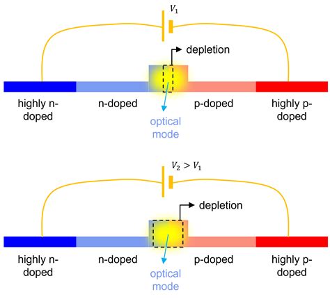 2 Electro Optic Phase Modulator — Luceda Academy 202506 Documentation