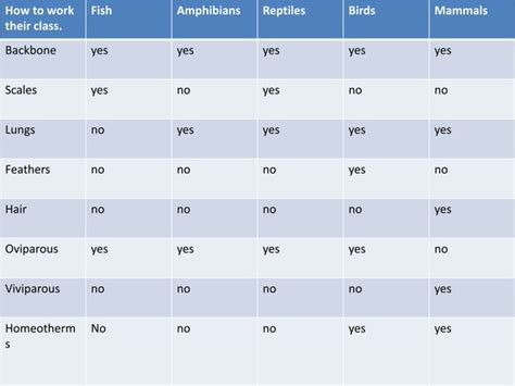 Classification Biology Ppt