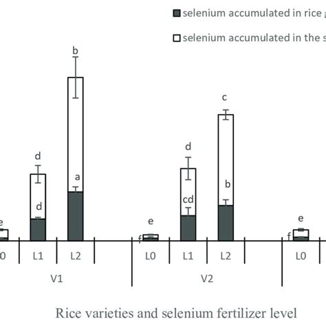 Selenium Accumulation Of Different Rice Varieties And Straw Under Download Scientific Diagram