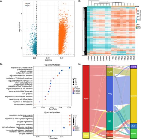 Identification Of Differentially Methylated Cpgs Between Crc And Polyp
