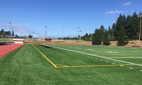 Multi Purpose Sports Turf