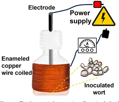 Figure 1 From Electrostatic Fermentation Molecular Response Insights