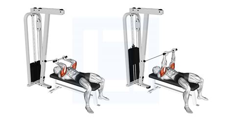 Triceps Press Guide Benefits And Form