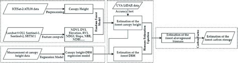 Flow Chart Of The Proposed Methodology For Canopy Height Estimation And