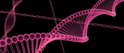 Gmp Testing For Oligonucleotide Drug Substance And Drug Product Bioanalysis Zone