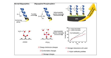 Phosphorylation Of Oligopeptides Design Of Ultra Hydrophilic Zwitterionic Peptides For Anti