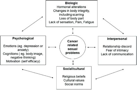 A Biopsychosocial Model Of The Impact Or Cancer On Sexuality Bober And Download Scientific
