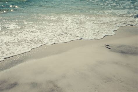 Florida Oir Approves 75 Rate Decrease In Comp Insurance Rates Workers Comp Insights