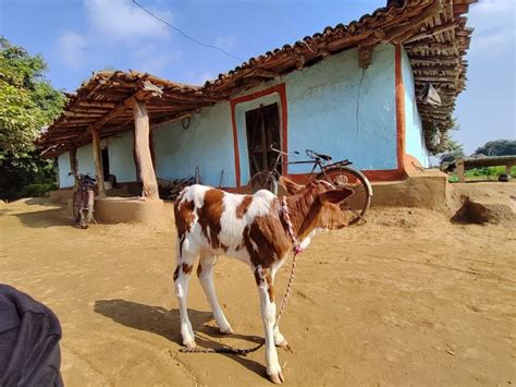 Prashant Kushwaha On Linkedin Ruraldevelopment Learningeveryday