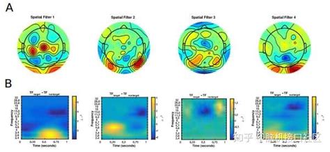 应用深度学习eegnet来处理脑电信号 知乎