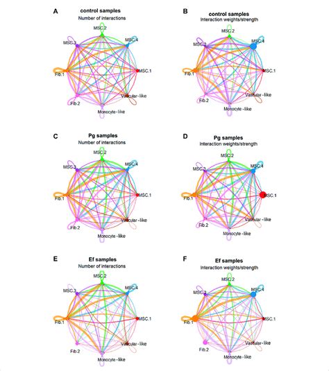 Cell Cell Interactions Among Different Subtypes A C E Circle