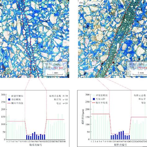 Casting Thin Section And Particle Diameter Distribution Map Under